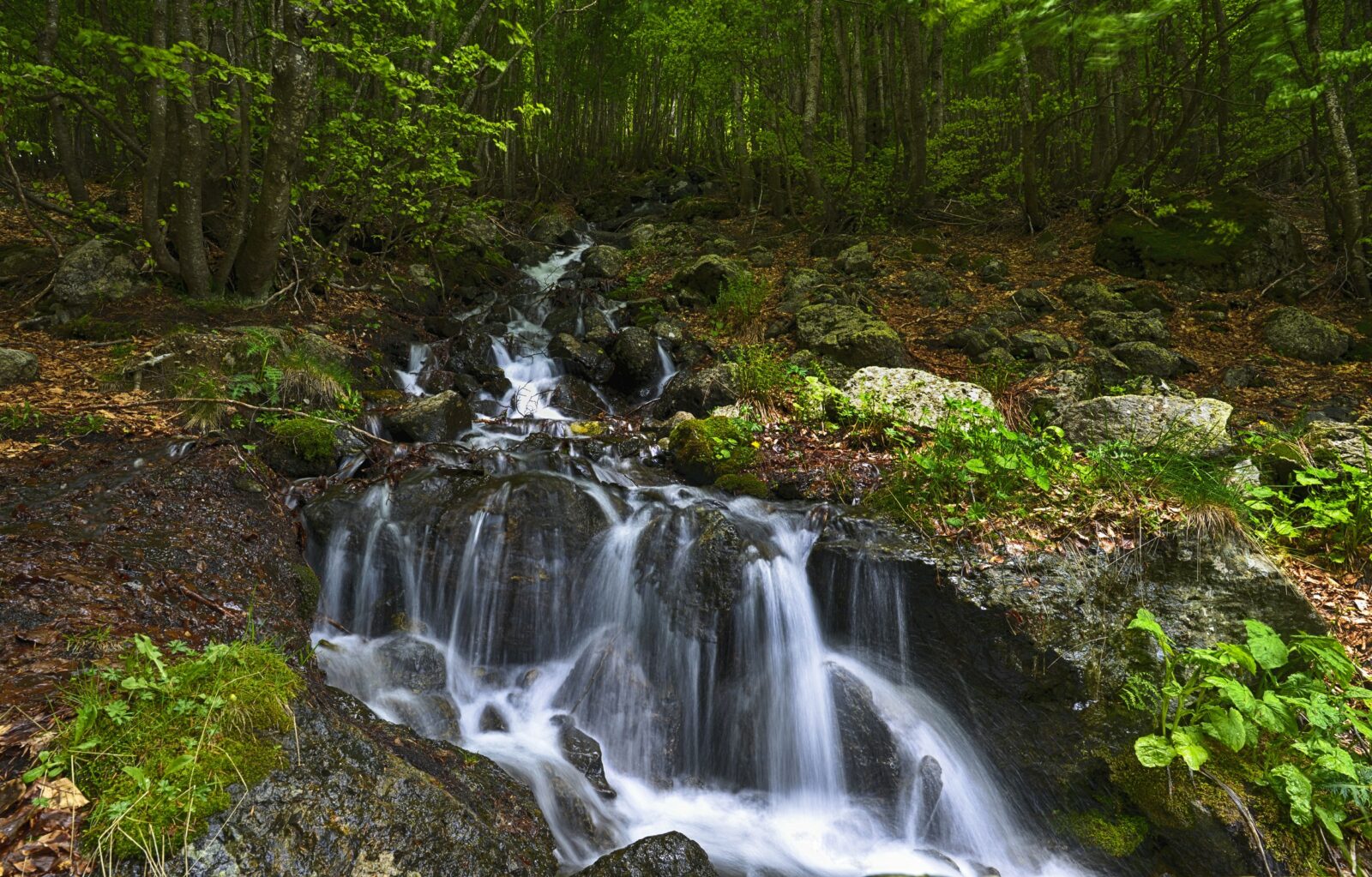 The country’s smallest municipality is among its biggest sustainability ...